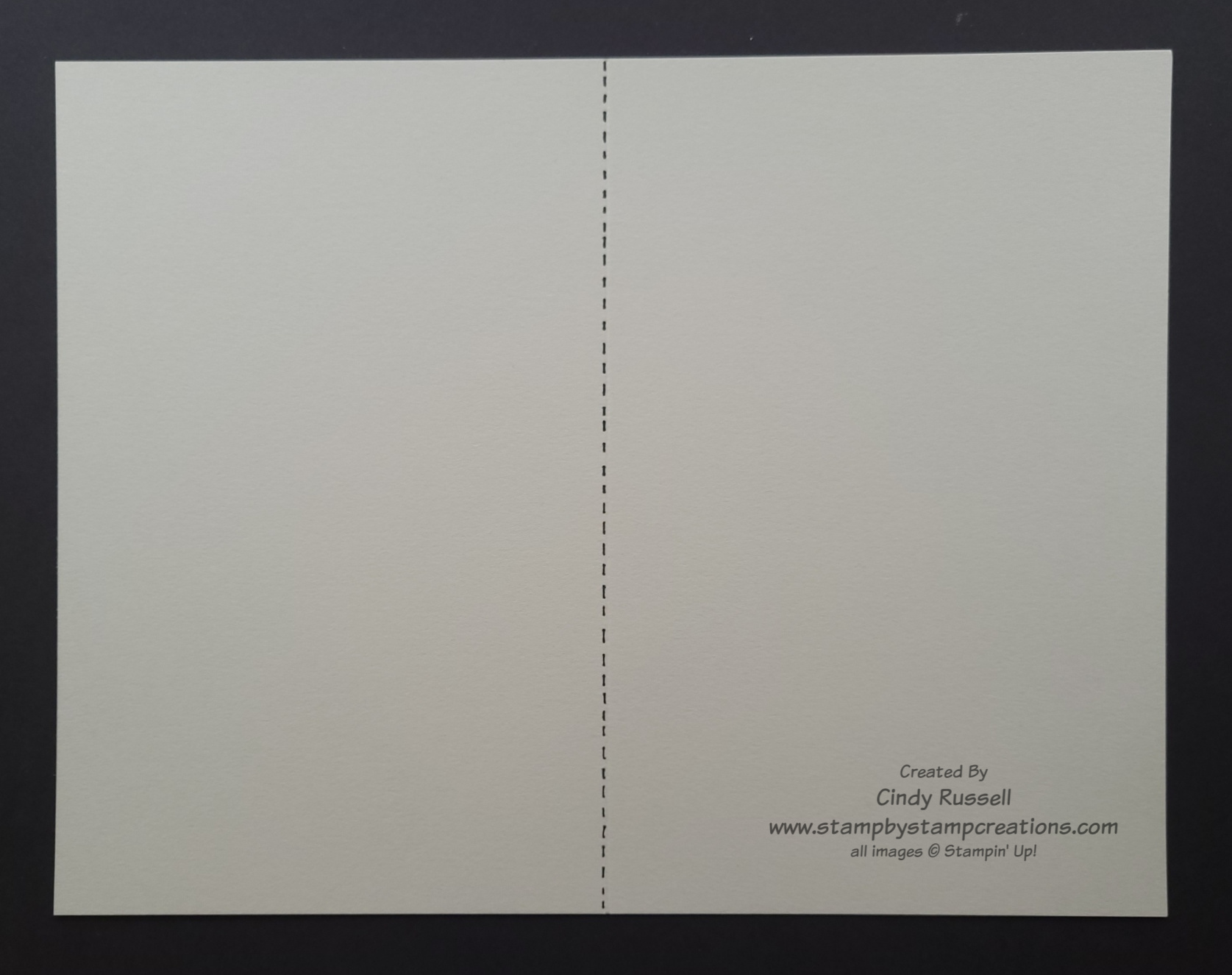 Angled Pocket Fun Fold Card - Stamp By Stamp Creations